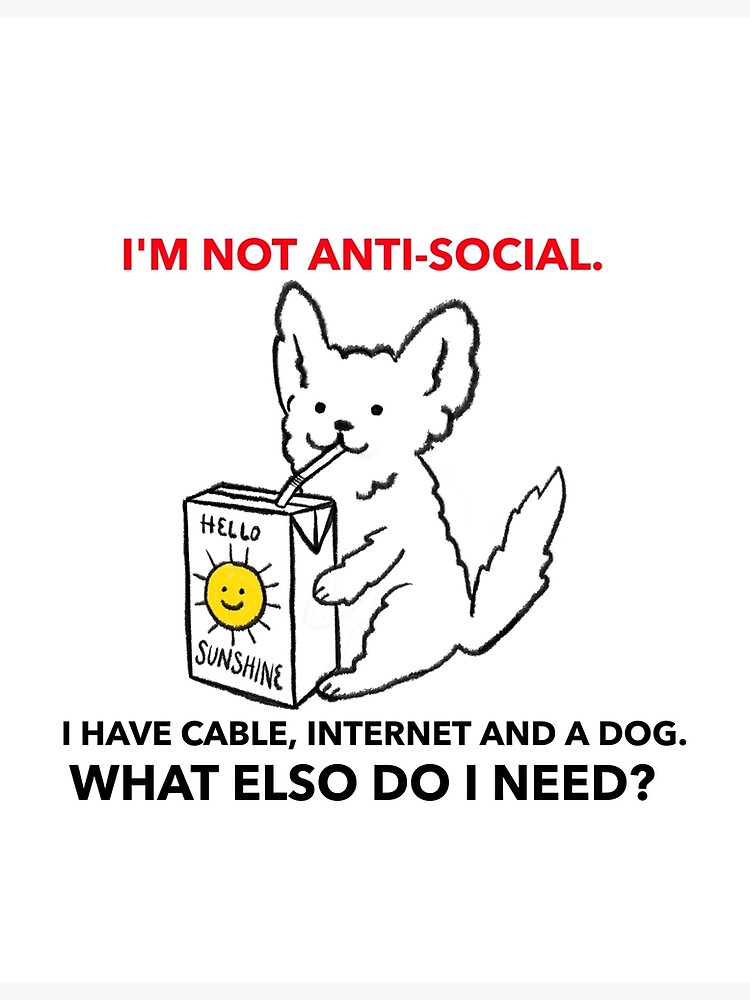 "I'm Not Anti-Social Funny Small Dog Meme" Poster for Sale by ...