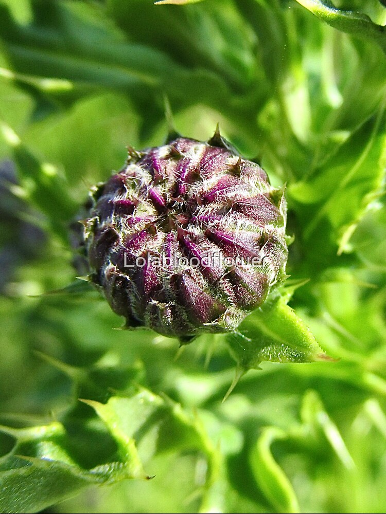 "Good morning bud! " Sticker for Sale by Lolabloodflower | Redbubble