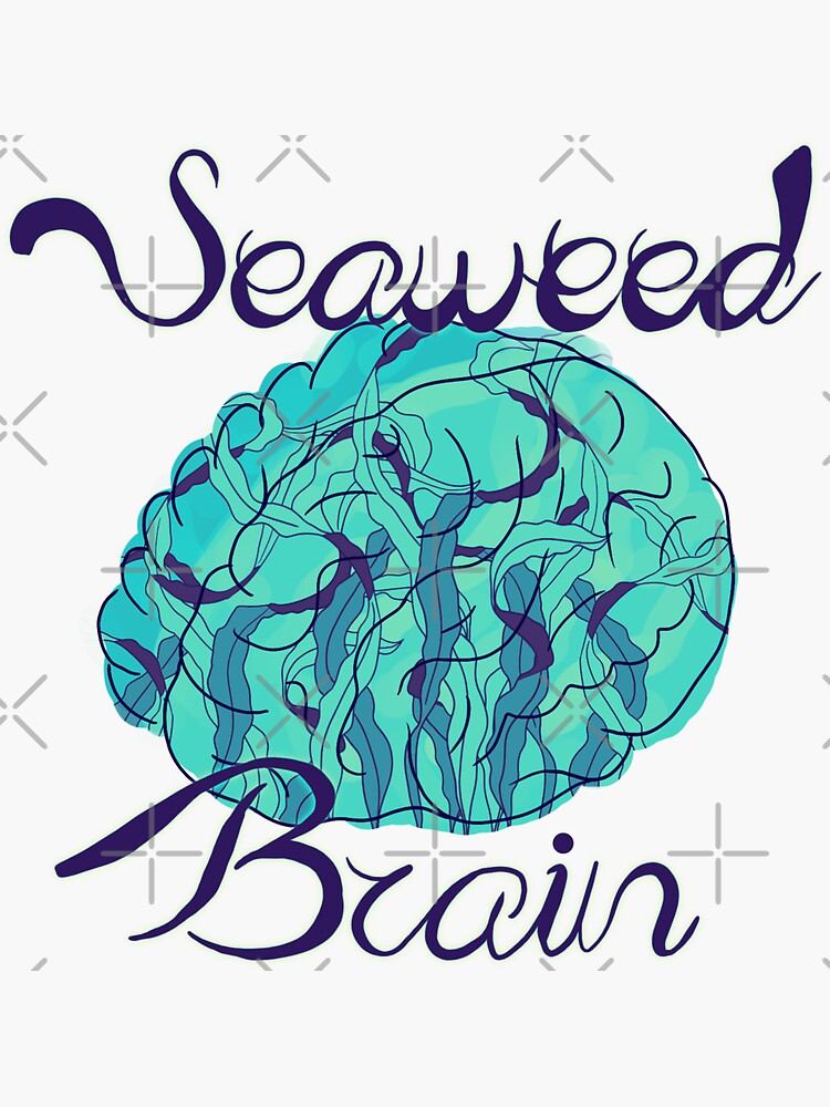 "Seaweed Brain" Sticker for Sale by mikaylart | Redbubble