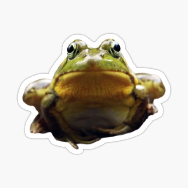 "Sitting Pretty" Sticker for Sale by WickedSaturn | Redbubble