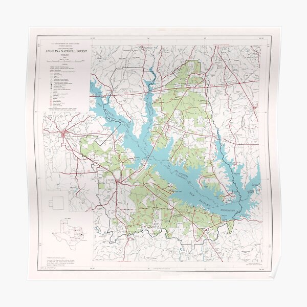 "Angelina National Forest Map (1974) Vintage Texas Woodland Reserve ...