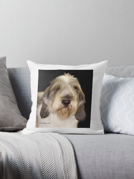 Pbgv Merch & Gifts for Sale | Redbubble