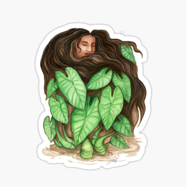 "Kalo Dream by Shannon Weaver" Sticker for Sale by alohaaries | Redbubble