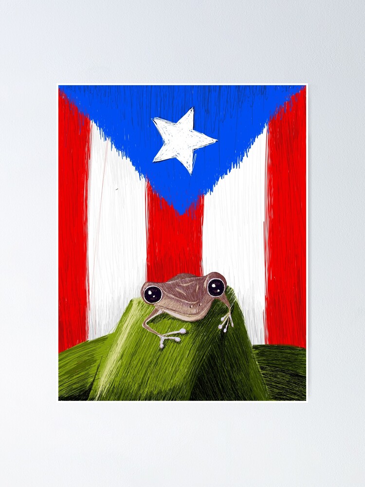 "Coqui Puerto Rico" Poster by TracedSoul | Redbubble