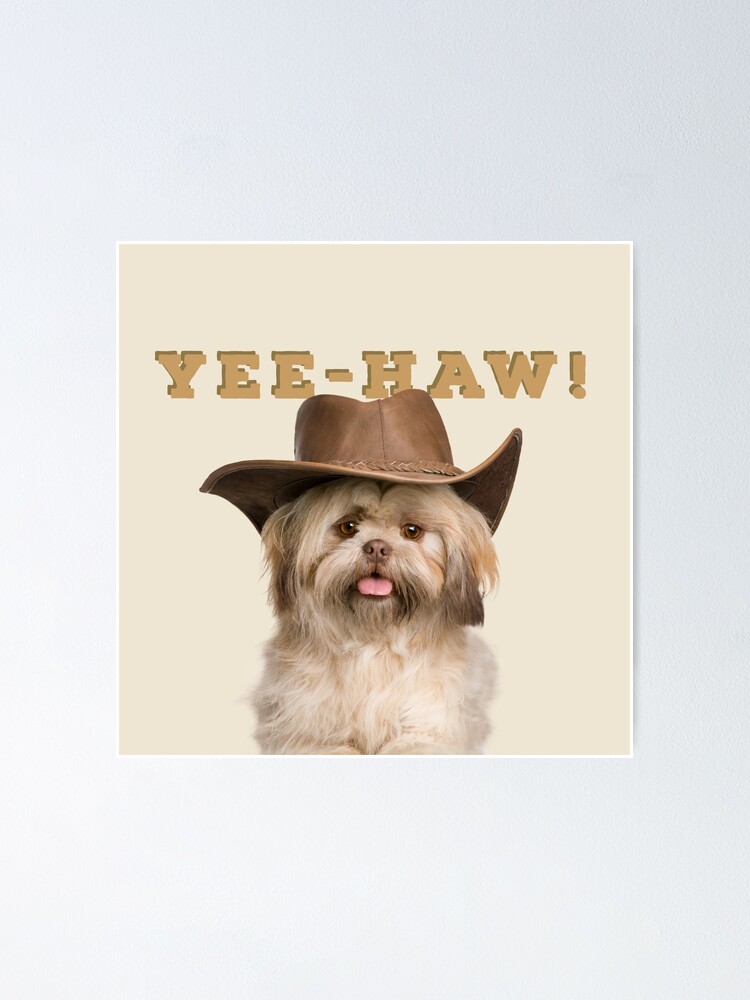 "cowboy dog yee-haw!" Poster for Sale by prone-zone | Redbubble