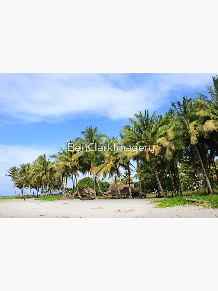 "Buna Beach Palm Trees " Sticker for Sale by BenClarkImagery | Redbubble