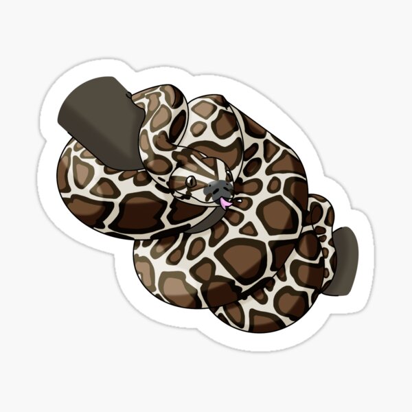 "Python" Sticker for Sale by GoldfinchDraws | Redbubble