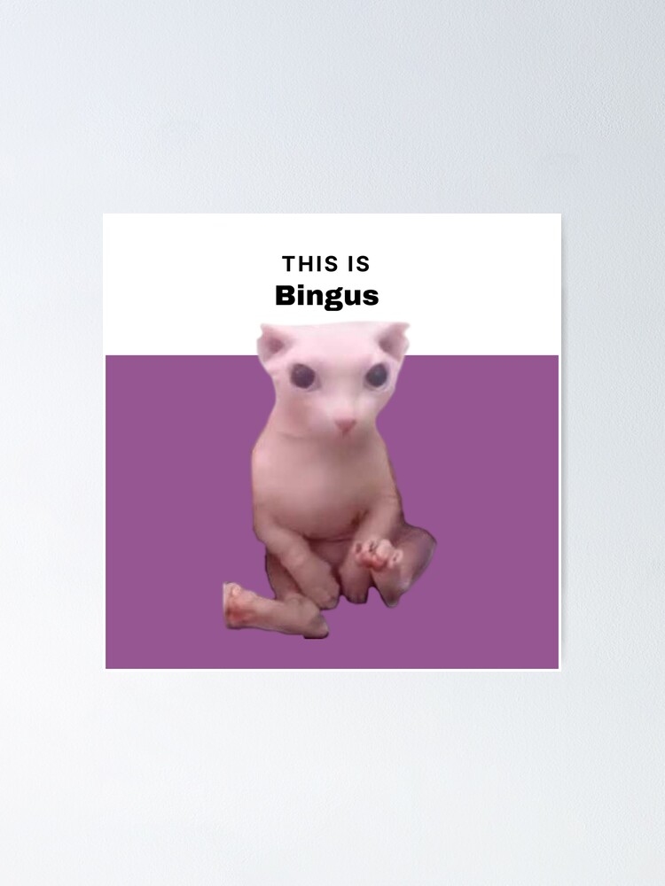 "This is Bingus" Poster by Lookaz | Redbubble