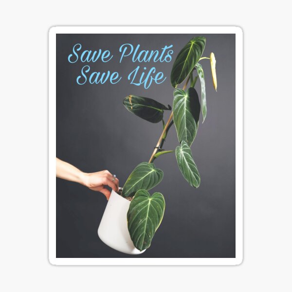 "Save Plants save life" Sticker for Sale by SweetyCreation | Redbubble