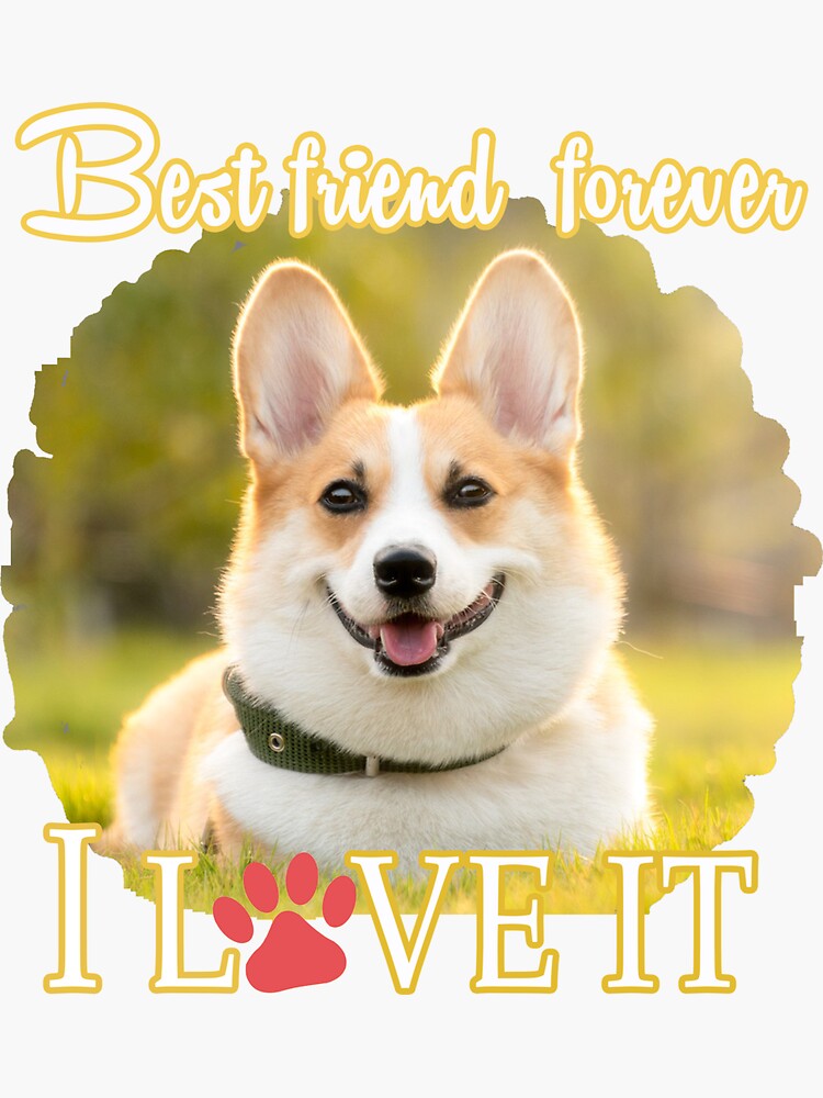 "dog best friends " Sticker by karim009 | Redbubble