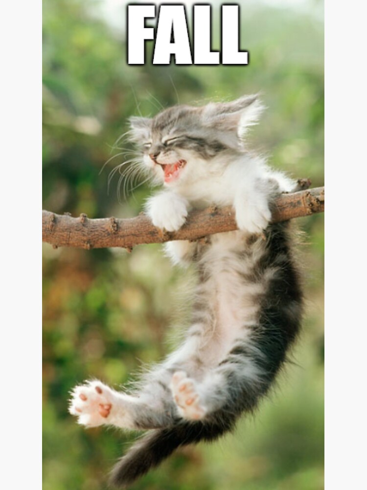 Póster «Póster gato motivacional» de Glattbur | Redbubble