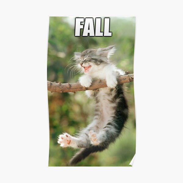 Póster «Póster gato motivacional» de Glattbur | Redbubble