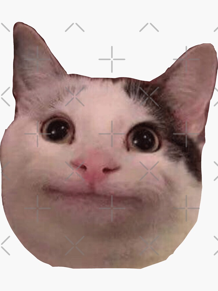 "Smiling cat beluga" Sticker for Sale by AGZOULINES | Redbubble