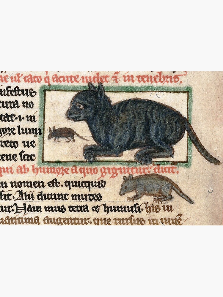 "Medieval cat" Sticker for Sale by TruantMuse | Redbubble