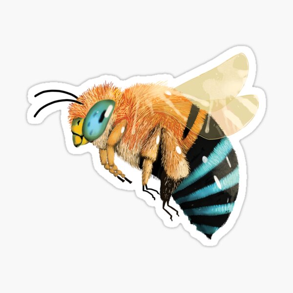 "Blue Banded Bee" Sticker for Sale by karin | Redbubble
