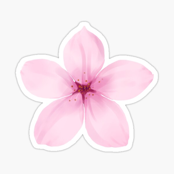 "Sakura Cherry Blossom Flower " Sticker for Sale by hanamori | Redbubble