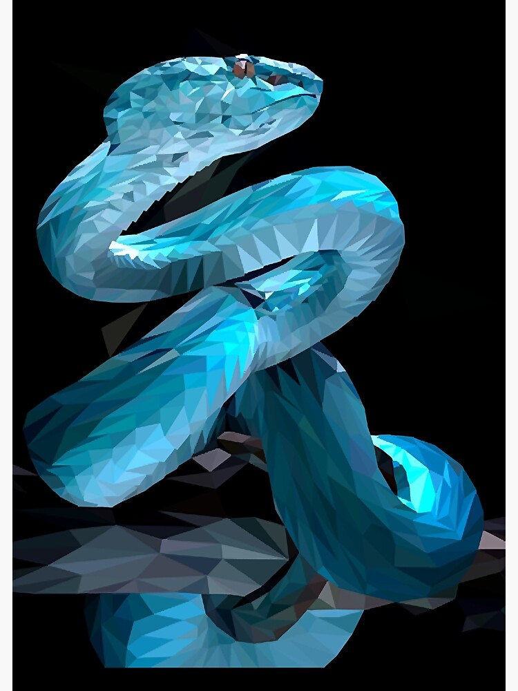 "Snake low poly " Poster for Sale by FeastJemari | Redbubble