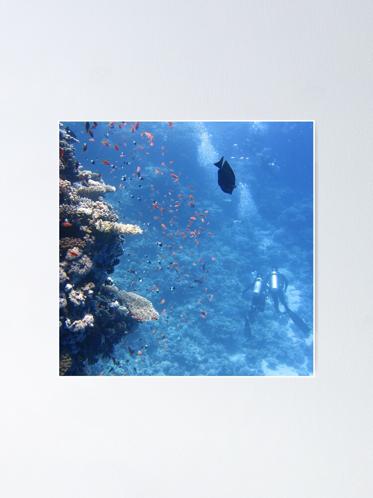 "Deep water scuba diving" Poster for Sale by gleamdesigns | Redbubble