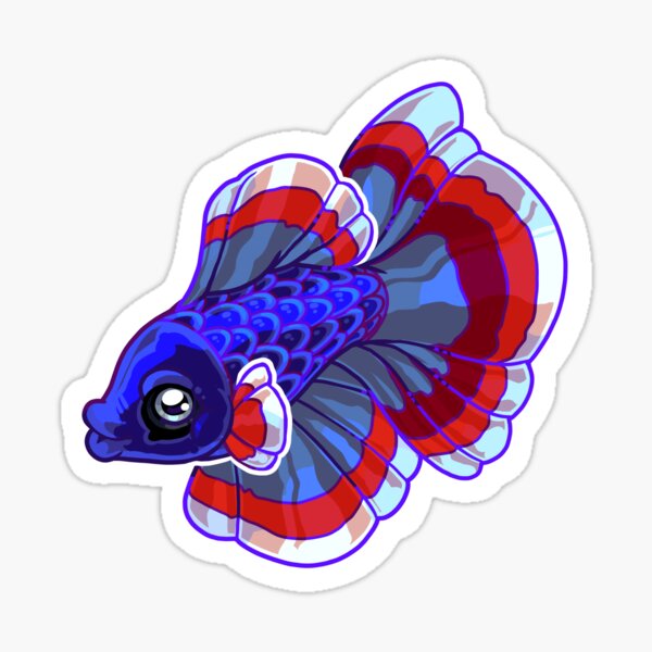 "Cute Chibi Betta Fish" Sticker for Sale by itcouldbechibi | Redbubble