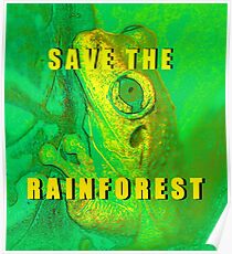 Save the Rainforest Posters | Redbubble