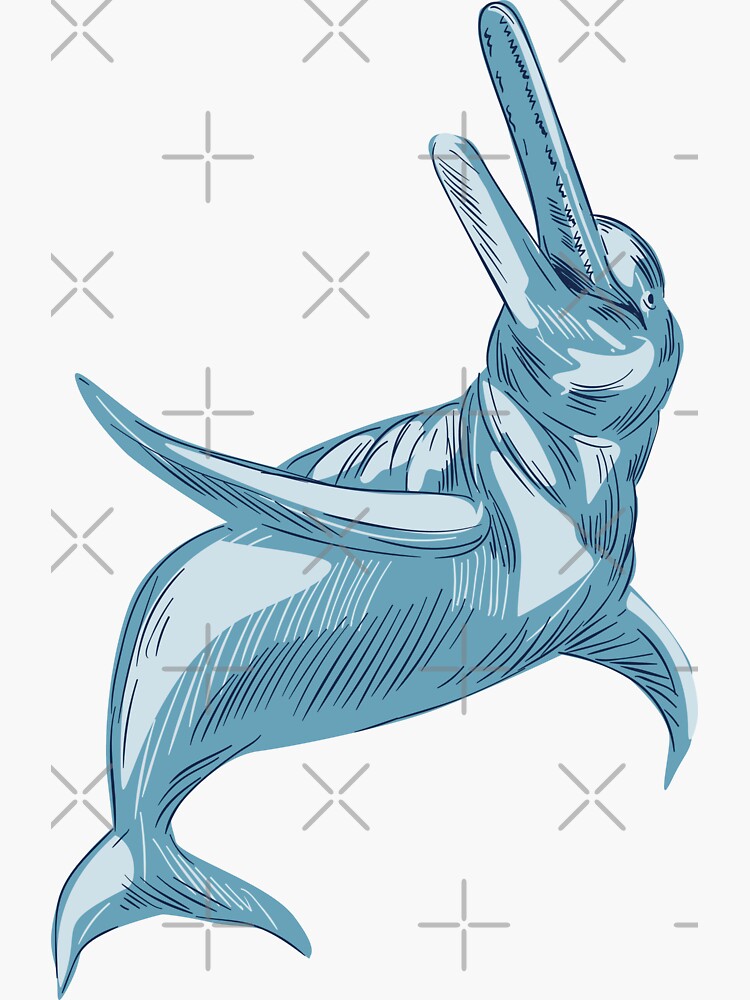 "Amazon River Dolphin Drawing" Sticker by patrimonio | Redbubble