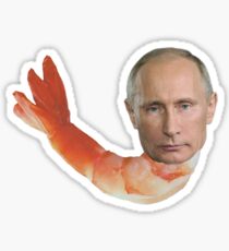Putin Stickers | Redbubble