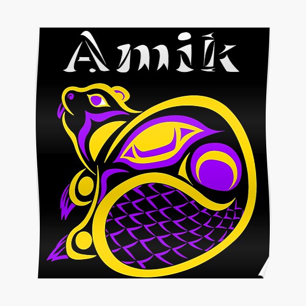 "Amik (Beaver) Intersex Pride" Poster for Sale by KendraHowland | Redbubble