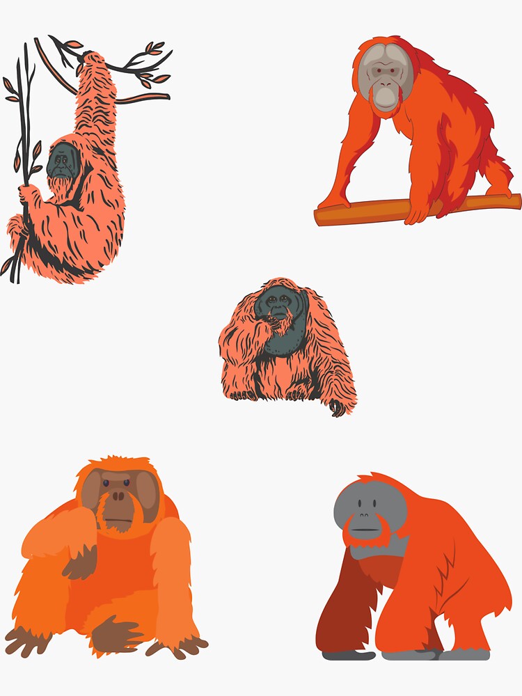 "Orangutan Sticker Pack" Sticker for Sale by RetroOG | Redbubble