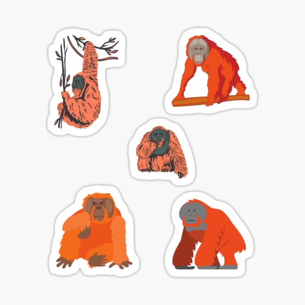 "Orangutan Sticker Pack" Sticker for Sale by RetroOG | Redbubble