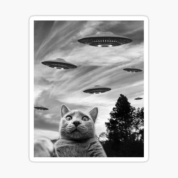 "Cat Alien UFO" Sticker for Sale by triadstudio | Redbubble