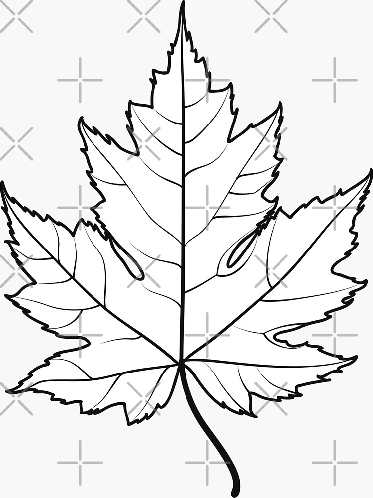 "Maple Leaf line Drawing" Sticker for Sale by Muditha88 | Redbubble