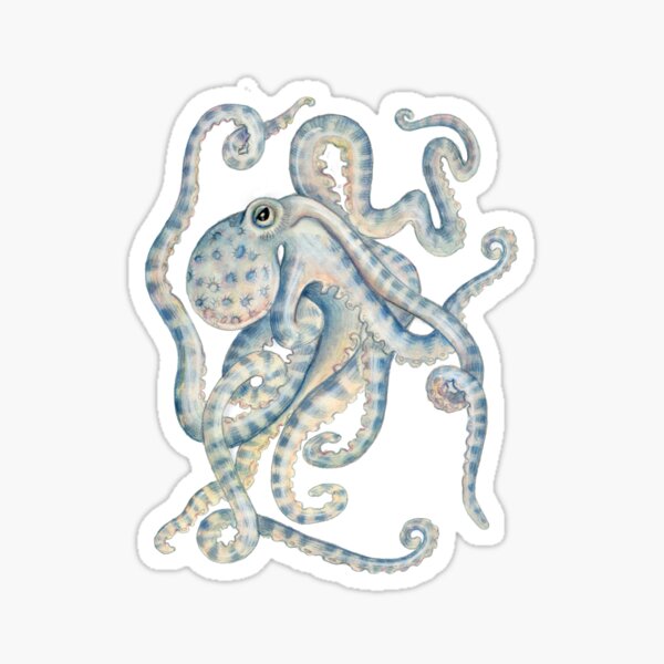 "BLUE OCTOPUS" Sticker for Sale by pambrosini | Redbubble