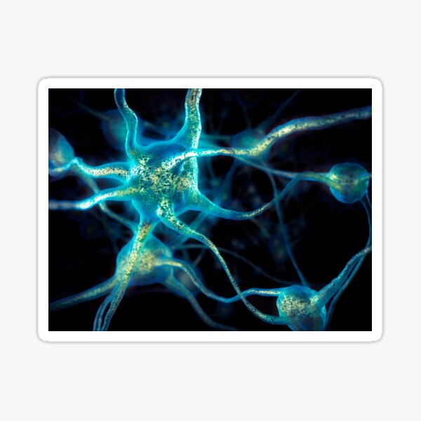 "Neuron network Brain cells art photo print" Sticker by AwenArtPrints ...