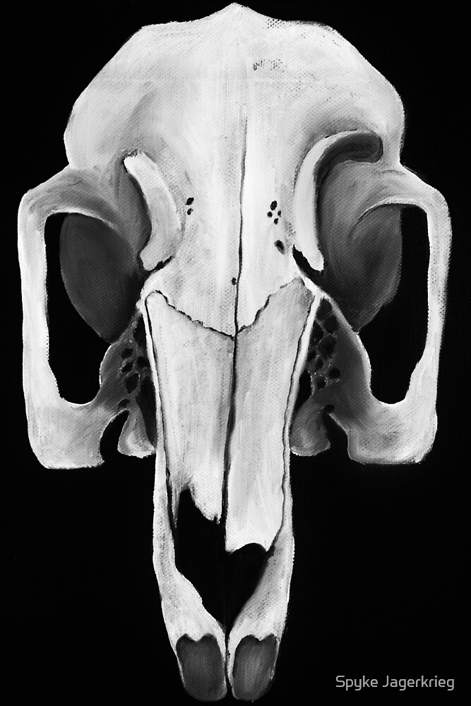 "Hare skull" by Spyke Jagerkrieg | Redbubble