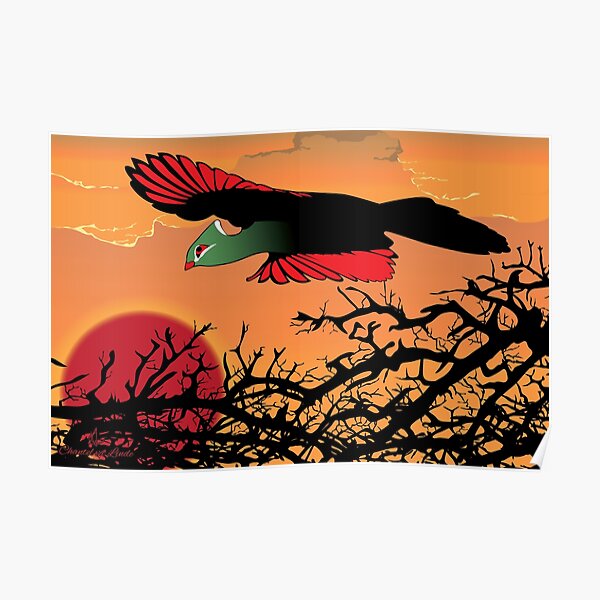 "Lourie African Red Sun" Poster for Sale by Chan-Arts | Redbubble
