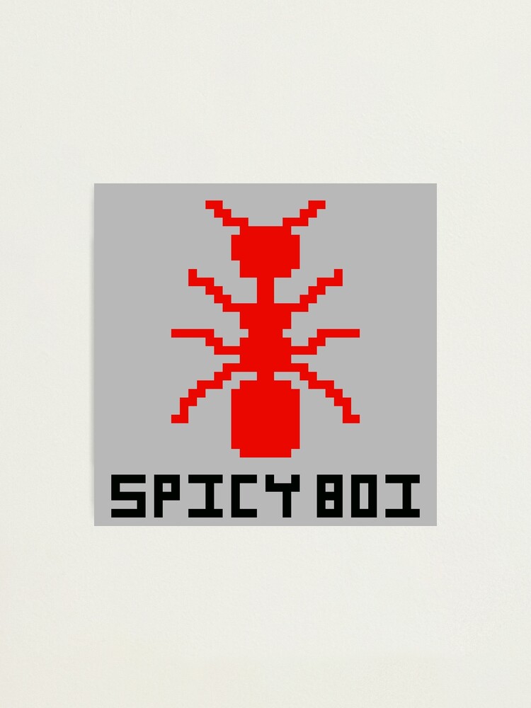 "Spicy Boi Pixel Art Meme" Photographic Print by Pixelmemes | Redbubble