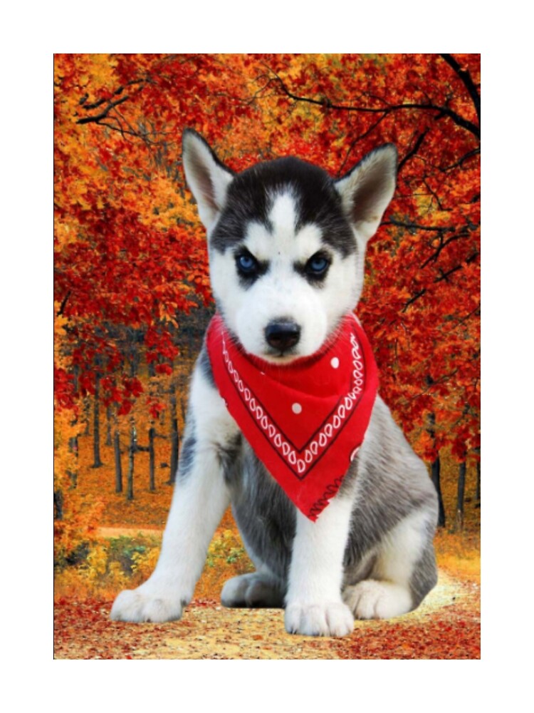 "Haski dogs" Sticker for Sale by Monpassion | Redbubble