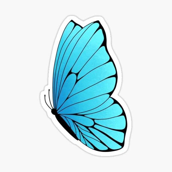 "blue morpho butterfly" Sticker for Sale by Erika-truelove | Redbubble