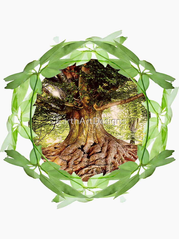 "Tree Of Life In A Circle With Leaf Frame Design " Sticker for Sale by ...