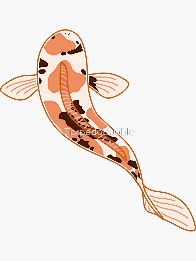 "Cute Koi Fish" Sticker for Sale by TorpedoBubble | Redbubble