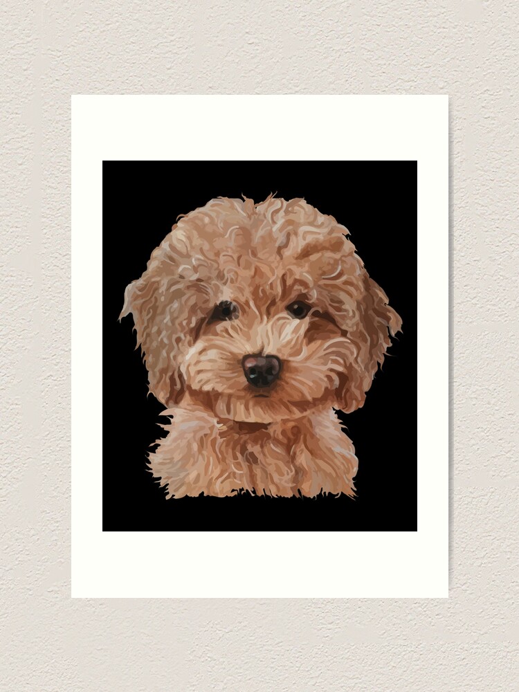 "Cavapoo Dog Cute Puppy" Art Print by art-experiment | Redbubble
