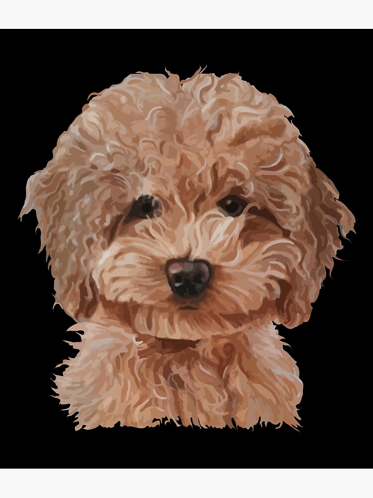 "Cavapoo Dog Cute Puppy" Art Print by art-experiment | Redbubble