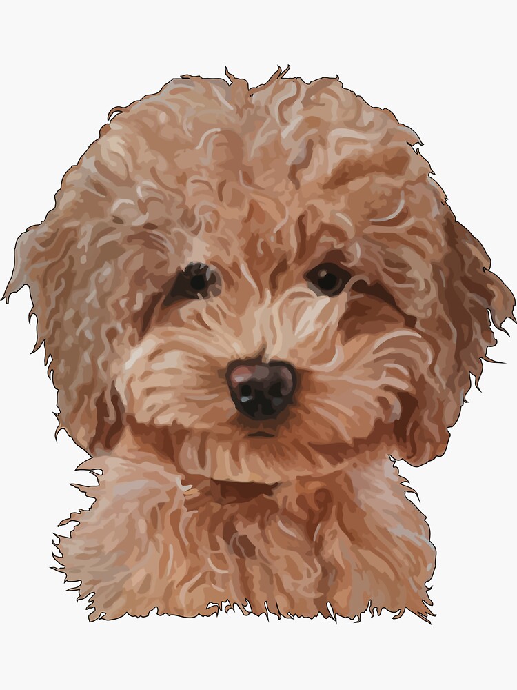 "Cavapoo Dog Cute Puppy" Sticker for Sale by art-experiment | Redbubble