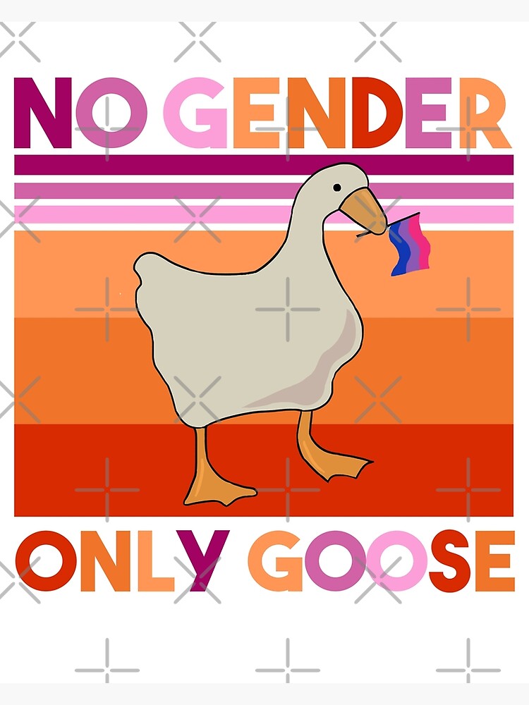 "No Gender Only Goose, Gay Pride Gift Idea, Lesbian Rainbow Gift ...