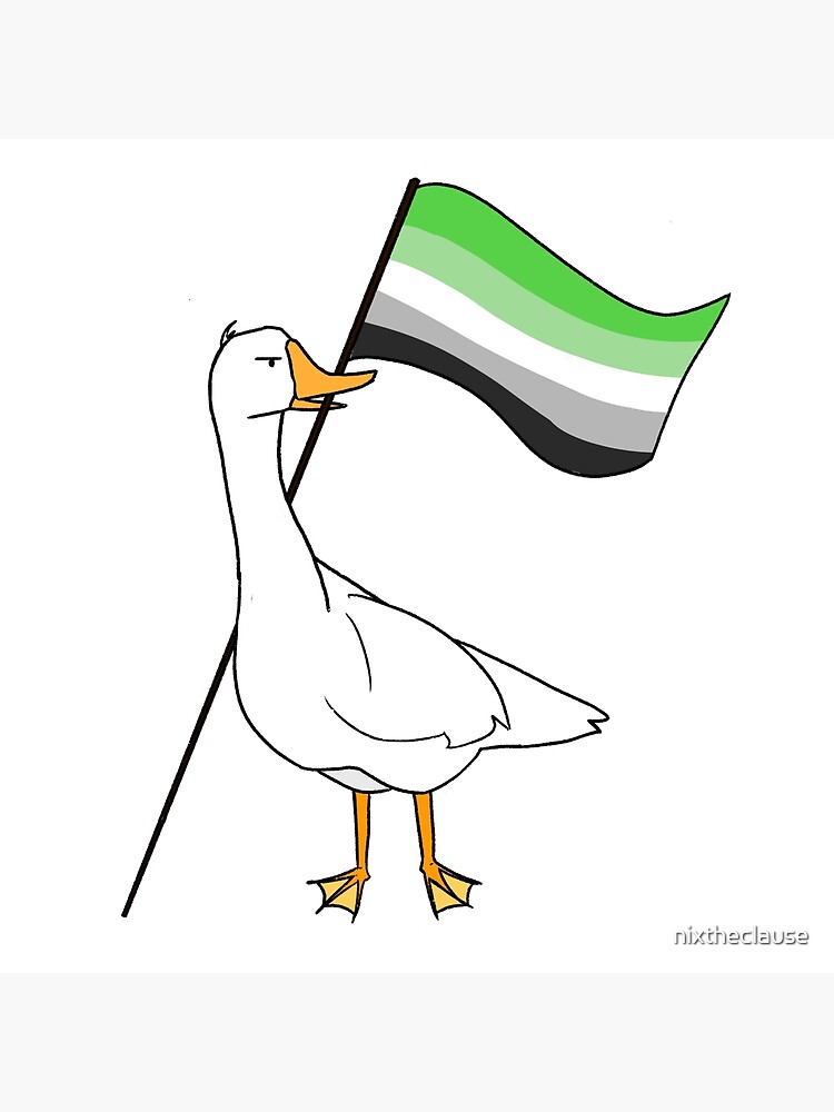 "Pride Goose - Aro" Poster for Sale by nixtheclause | Redbubble