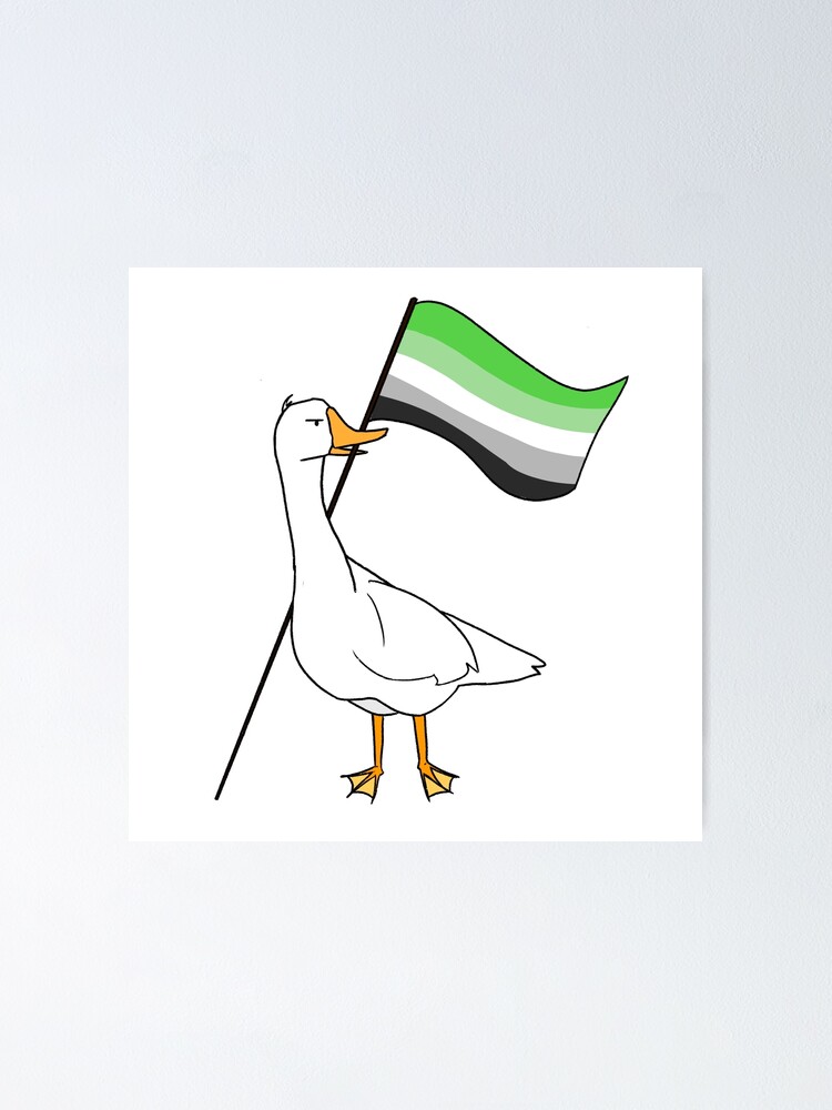 "Pride Goose - Aro" Poster for Sale by nixtheclause | Redbubble