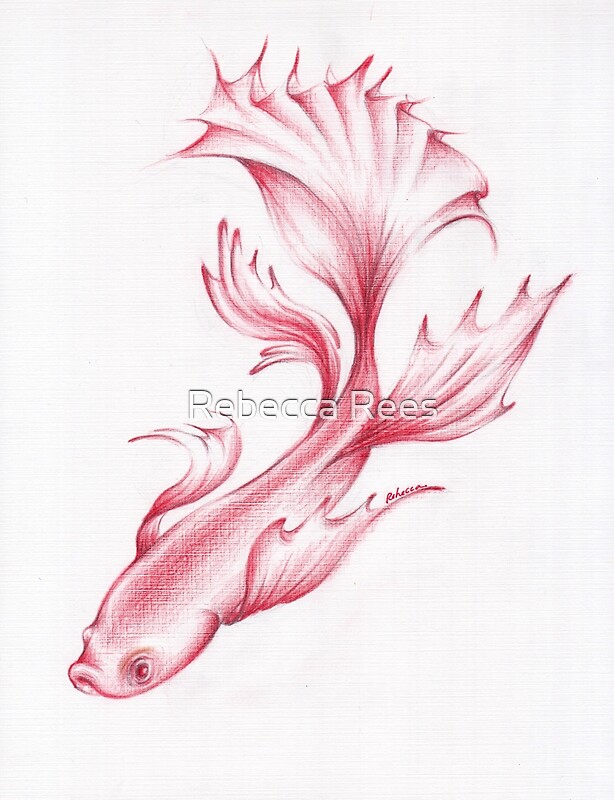 "Coral Queen - Betta Fighting Fish Drawing" by Rebecca Rees | Redbubble