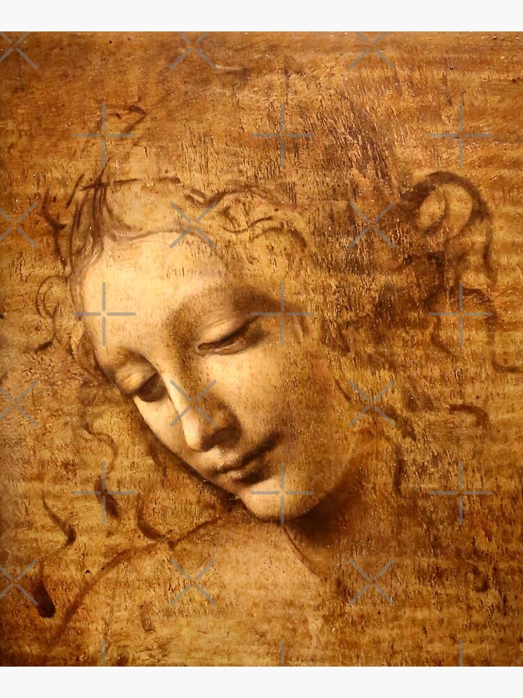 ""La Scapigliata" by Leonardo Da Vinci c 1508 Renaissance Painter. Art History" Poster by ...