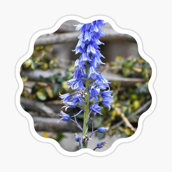 Meggie-moos Shop | Redbubble