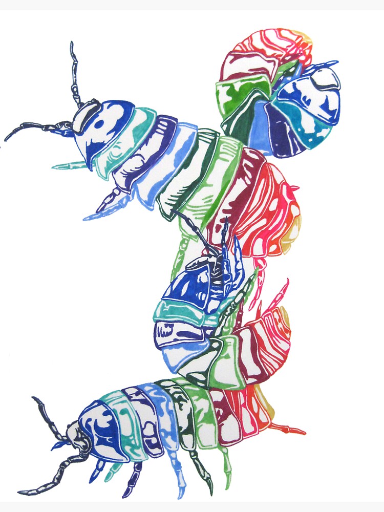 "Roly Poly " Sticker for Sale by RaLiz | Redbubble